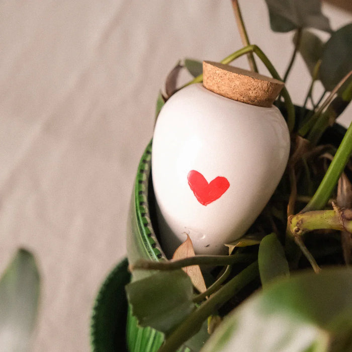 Pepin Olla - Heart | Buy Online UK — LemonSalt